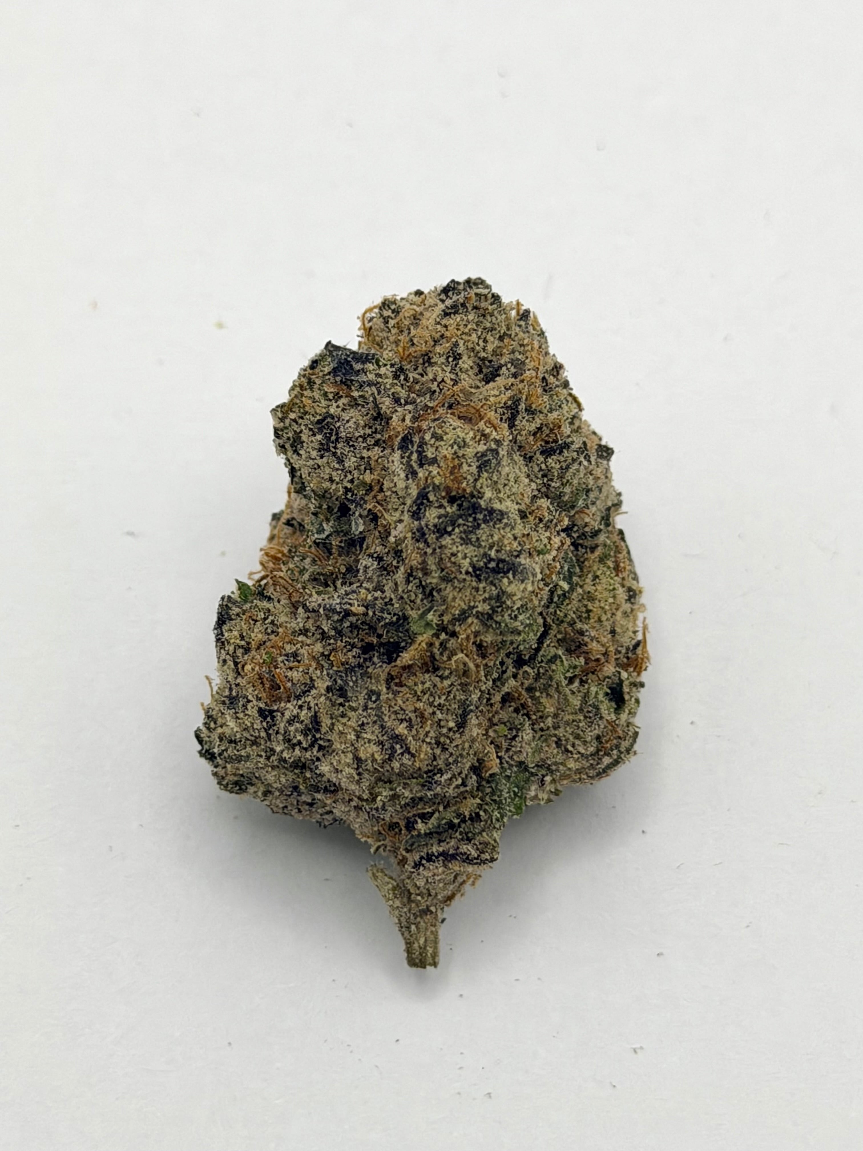 Gelato 47 | EXOTIC FIRST-CUT | LIMITED SMALL BATCH